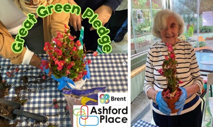 Green Pledge Project Update | Ashford Place